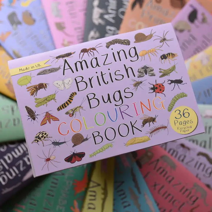 Amazing British Bugs Colouring Book – The Box