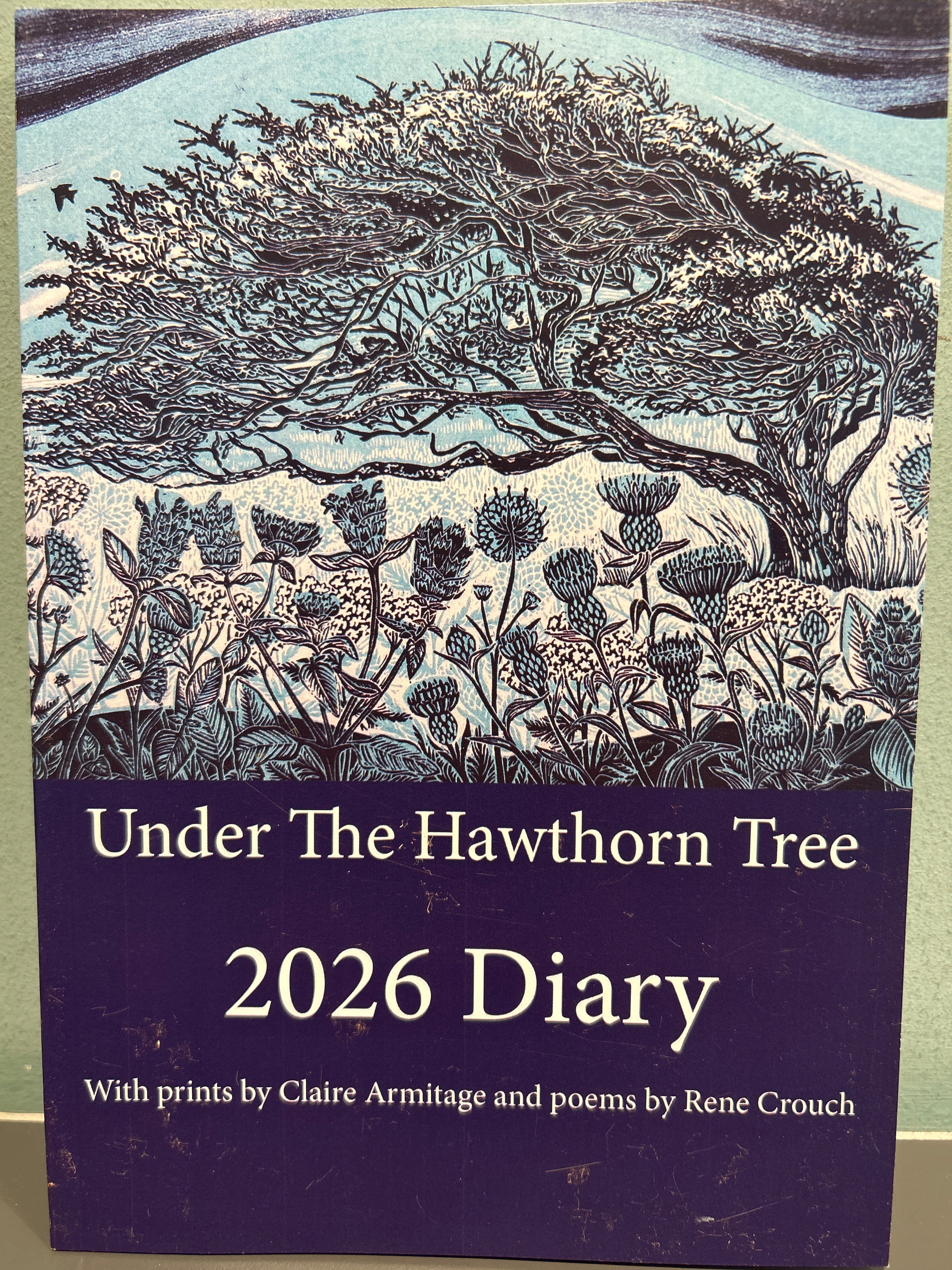 Claire Armitage Under The Hawthorn Tree 2026 Diary – The Box