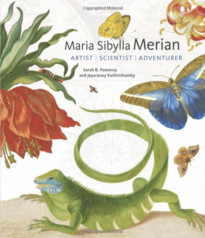 Maria Sibylla Merian – The Box